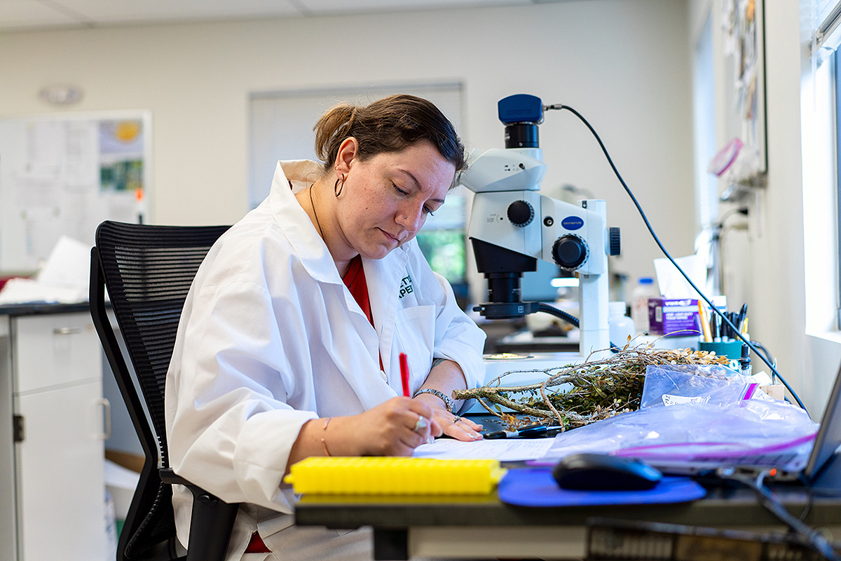 Bartlett Tree Experts